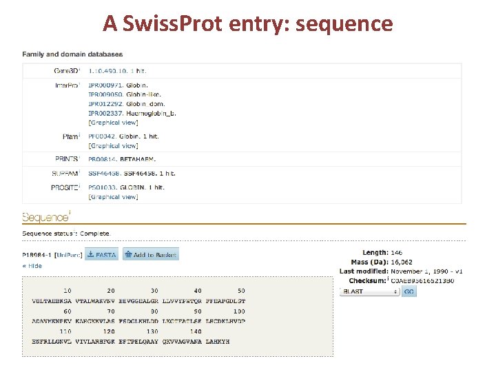 Introduction to proteins bioinformatics analysis Juliette Hayer November