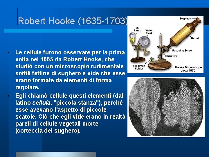 La scoperta della cellula Robert Hooke 1635 1703