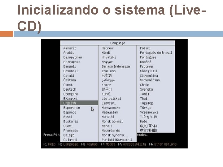 LINUX Ubuntu Inicializando o sistema Live CD Portugus