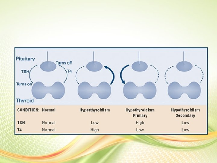 Microparticle Enzyme Immunoassay MEIA Thyroid function tests 1