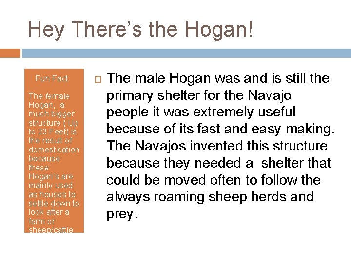 THE NAVAJO NATIVE AMERICAN INDIAN TRIBE A Microsoft