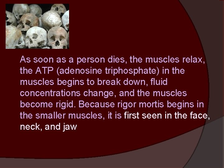 CHAPTER 12 HUMAN REMAINS There is a brief