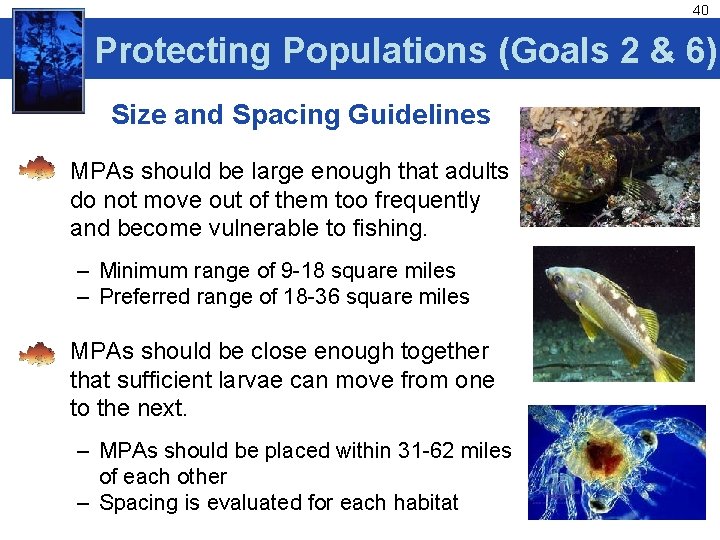 1 Marine Life Protection Act Initiative Habitat Size