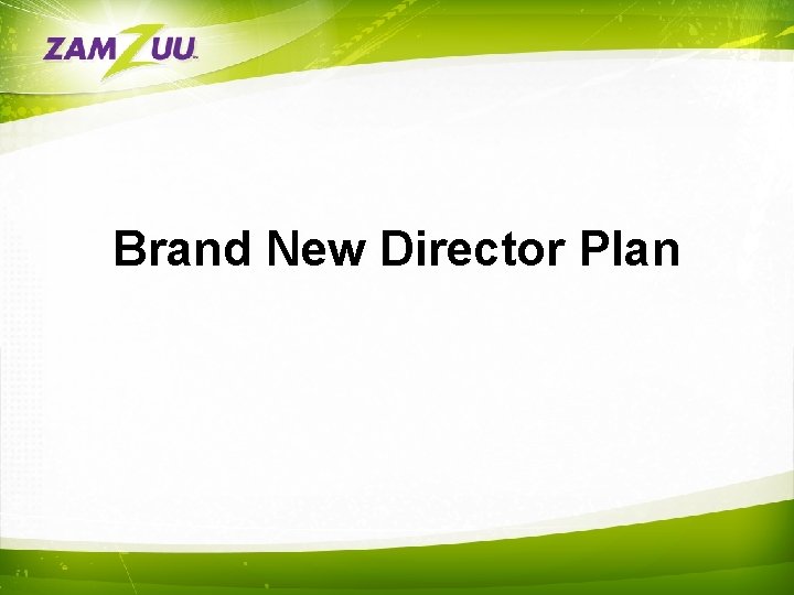 Brand New Director Plan Become a Director with
