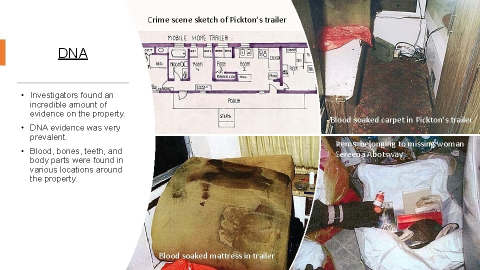 Robert Pickton A Serial Killer and His Police