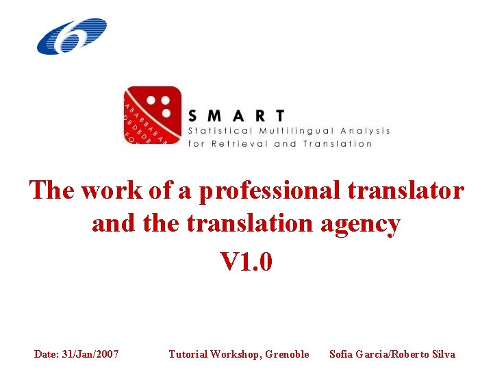 The work of a professional translator and the