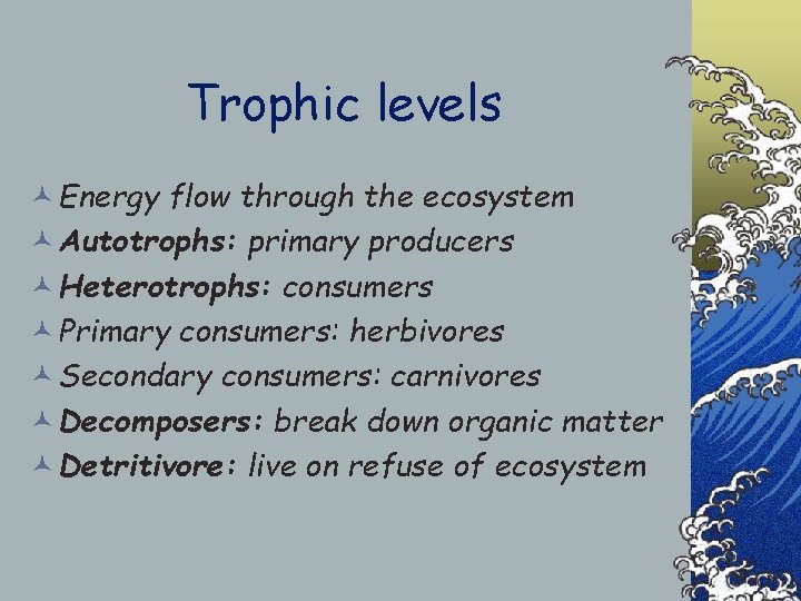 Ecosystems Chapters 55 56 Ecosystems All abiotic factors