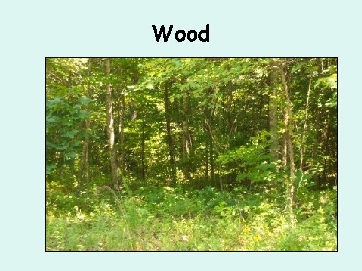 5 Element 8 Principles TCVM Diagnosis Special Thanks