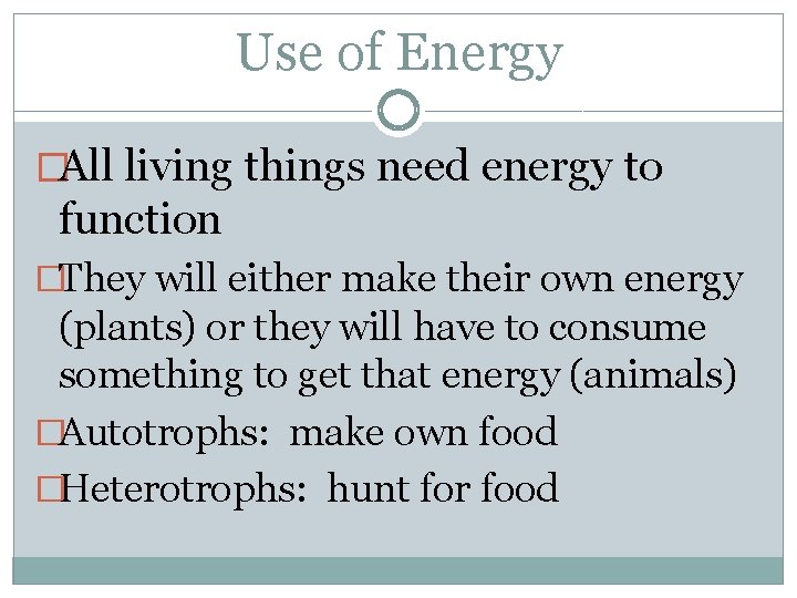 Characteristics of Living Things 7 TH GRADE SCIENCE