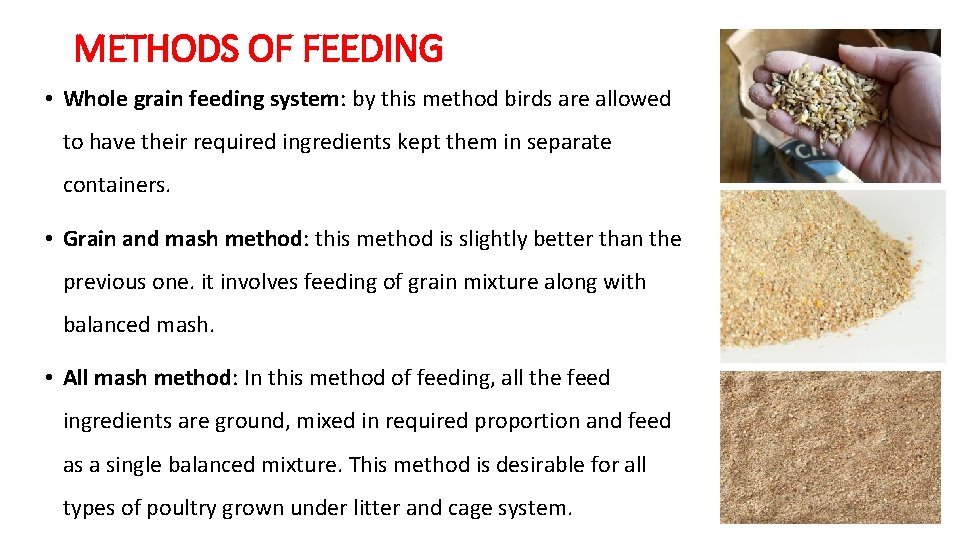 POULTRY FEED MANAGEMENT B Ahmad Ali Baba Lecturer