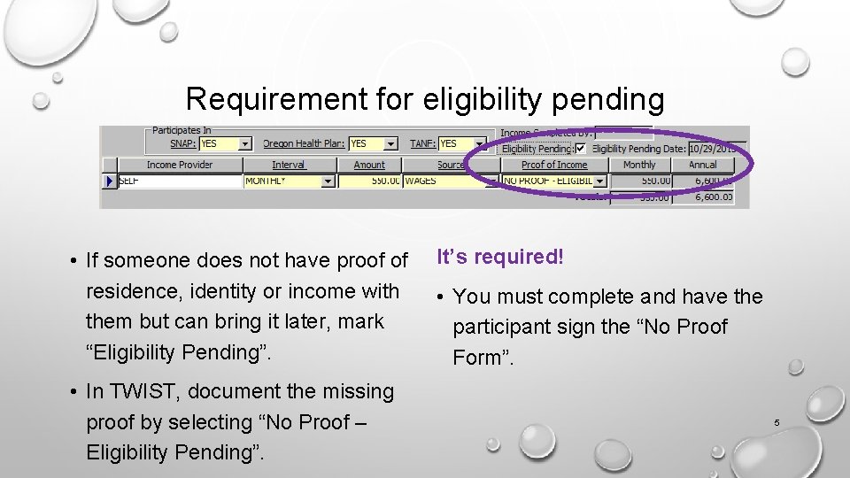 Using The No Proof Form Income Eligibility 1