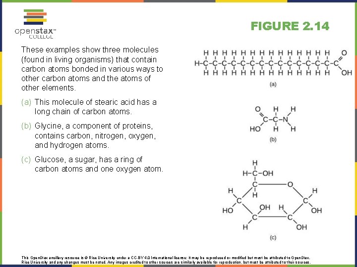 CONCEPTS OF BIOLOGY Chapter 2 CHEMISTRY OF LIFE