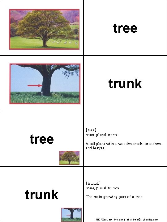 Prior knowledge What are the parts of a