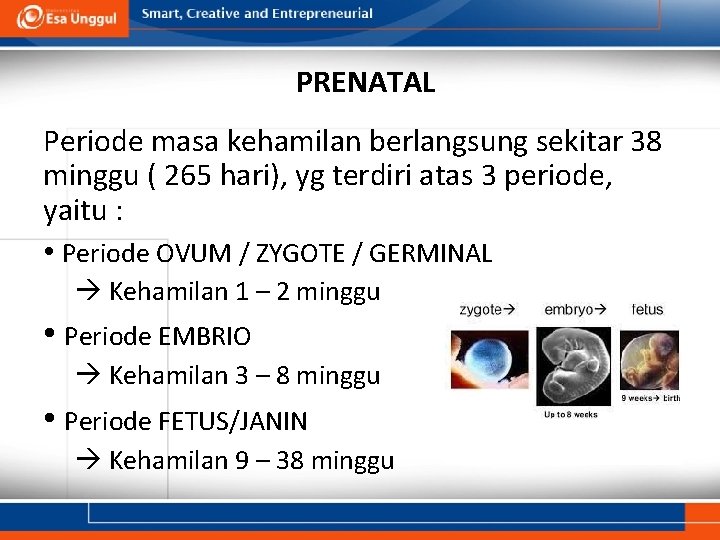 PSIKOLOGI PERKEMBANGAN MANUSIA Pertemuan 2 DOSEN Mariyana Widiastuti