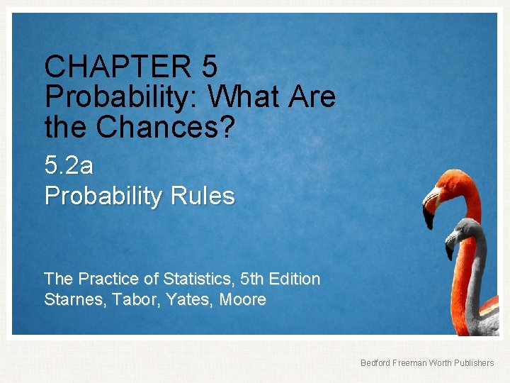 CHAPTER 5 Probability What Are the Chances 5