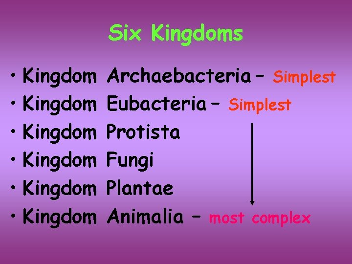 The Six Kingdoms of Life By Mr Lowe