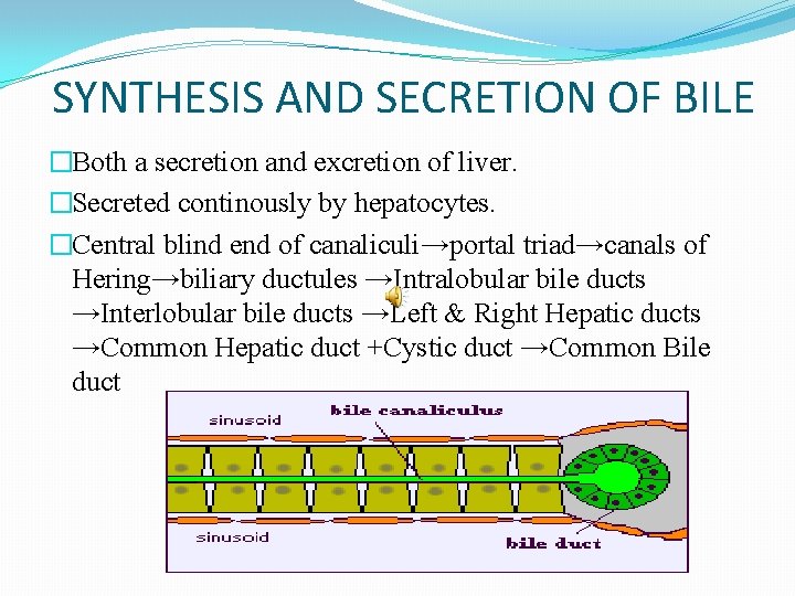 BILE AND SUCCUS ENTERICUS Dr Aqsa Malik Biochemistry