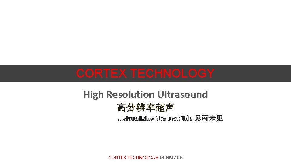 CORTEX TECHNOLOGY DERMASCAN C High Resolution Ultrasound visualizing
