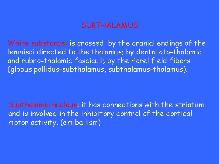 Coronal section of brainstem diencephalon basal telencephalic nuclei