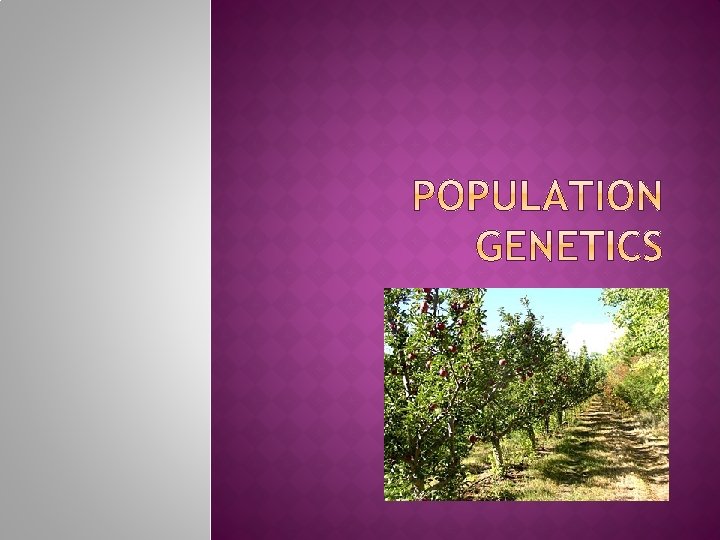 The science of genetic change in populations Population