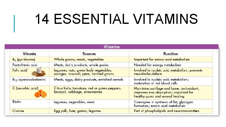 CHEMICAL REACTIONS IN THE BODY ENZYMES VITAMINS AND