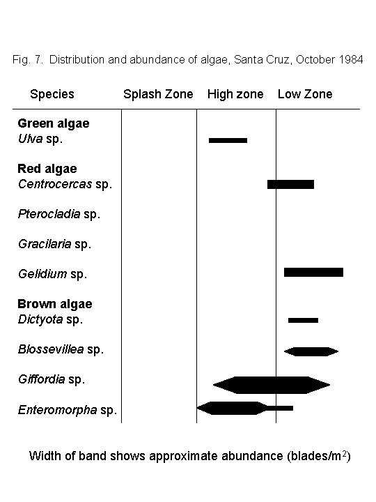 Fig 5 Distribution and abundance of algae Santa