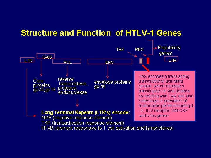 Viral Infections of the Immune System HIV infects