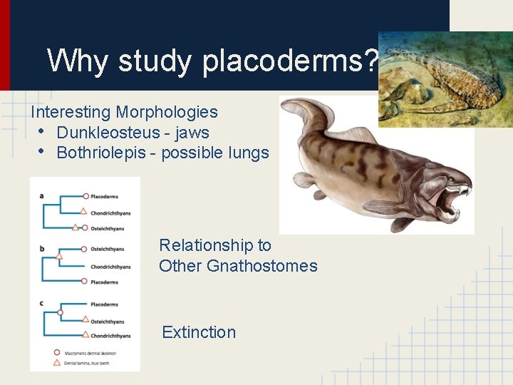 Evolution Adaptations of Placoderms Justin Waraniak Yovaan Totharam
