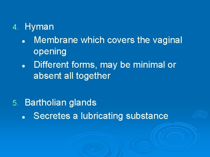 The Human Reproductive System Female reproduction system 1