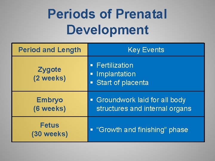 Periods of Prenatal Development Period and Length Key