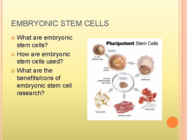 ISSUES IN BIOLOGY THE SCIENTIFIC METHOD Packet 1