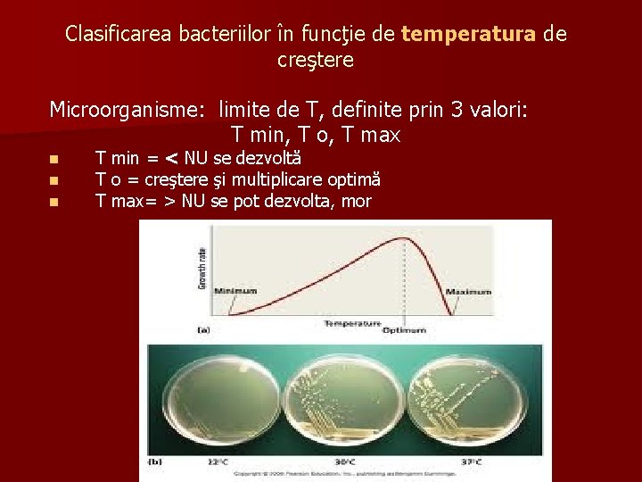 Metabolism bacterian Dr Carmen Costache METABOLISM BACTERIAN Planul