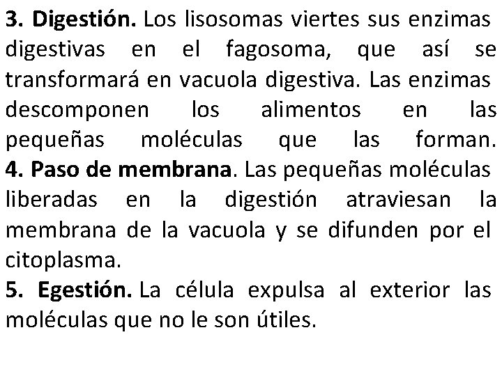 FUNCION DE NUTRICION EN LA CELULA GRADO 5
