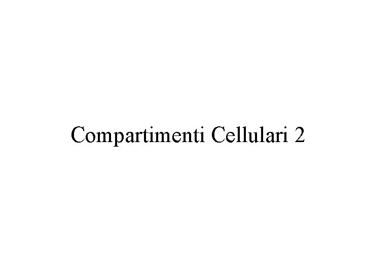 Compartimenti Cellulari 2 IL COMPLESSO DI GOLGI costituito