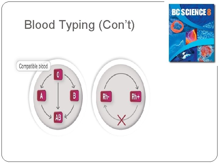 Blood Its in You to Give Introduction What