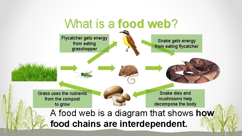 Introduction to the Nature Unit CLAVES Intervention Project