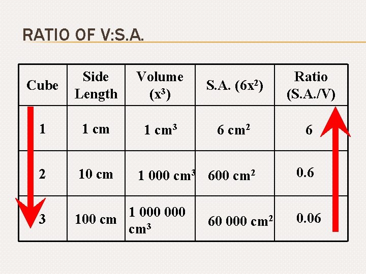 SURFACE AREA TO VOLUME RATIOS Haileybury Astana IB