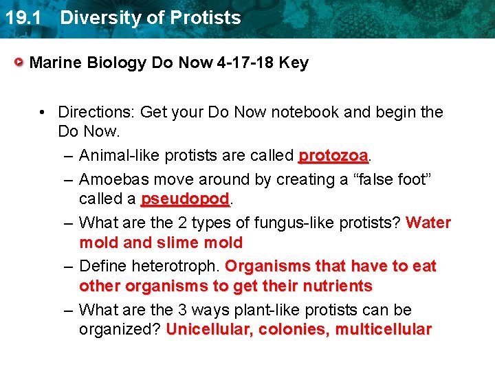 19 1 Diversity of Protists Marine Biology Do