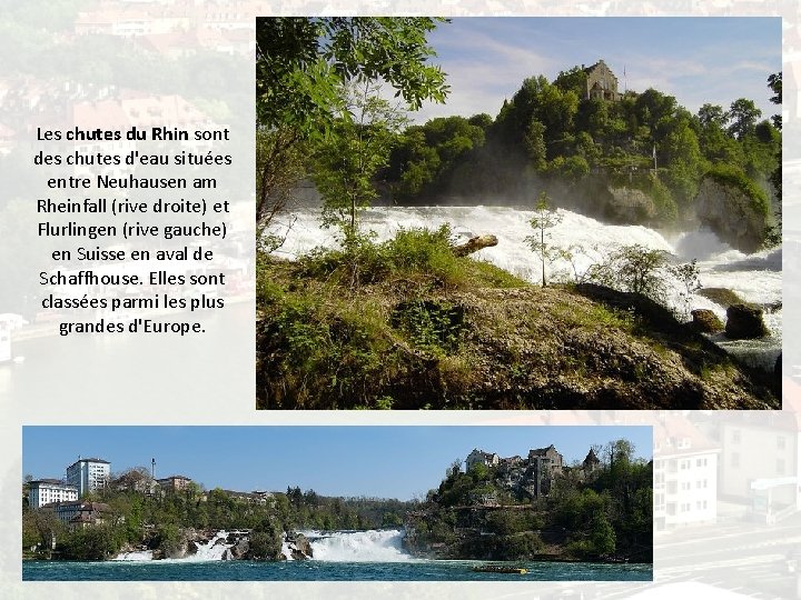 Le Rhin et ses principaux affluents Le Rhin