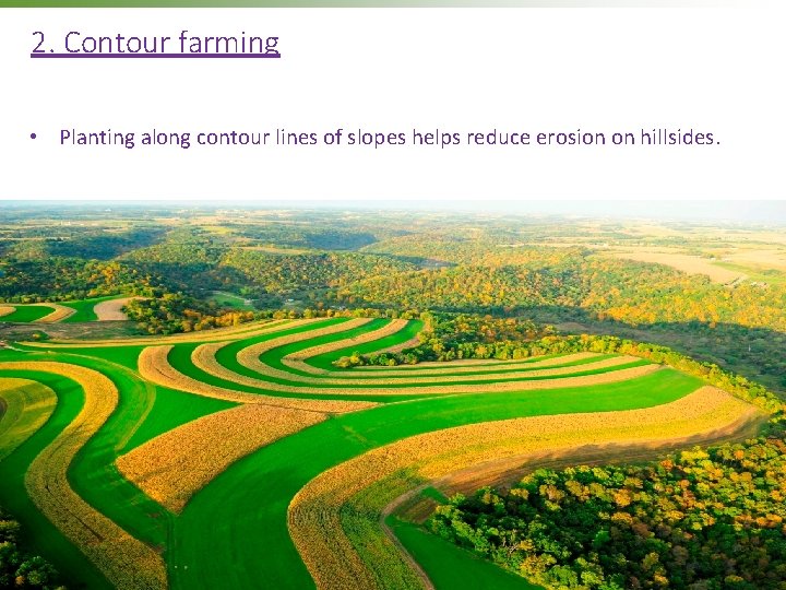 Soil Agriculture Tillage Sustainable High Yield Harvests Only