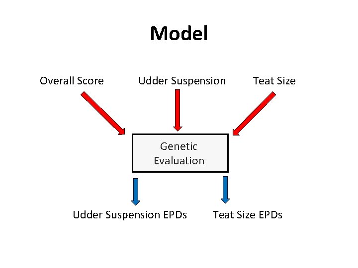 Teat and Udder Score EPDs Heather Bradford University