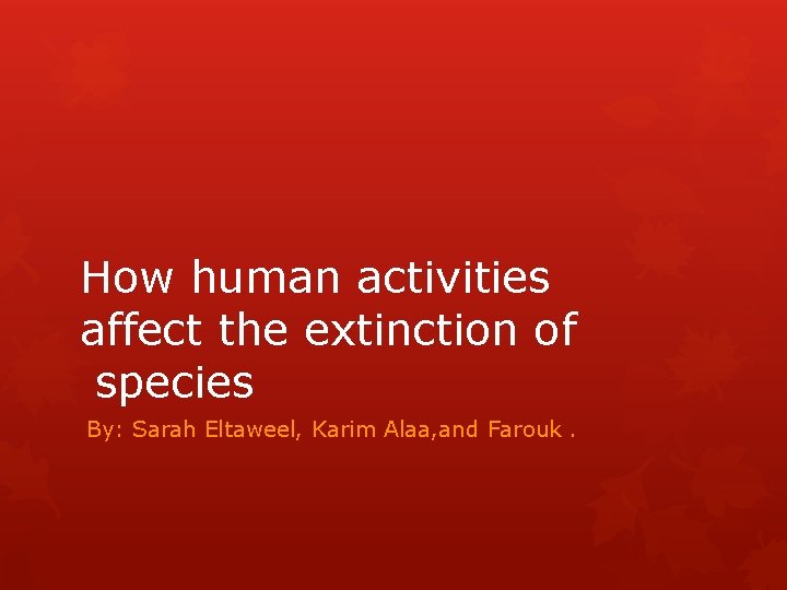 How human activities affect the extinction of species