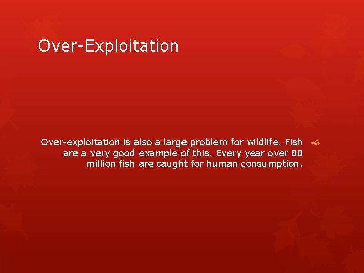 How human activities affect the extinction of species