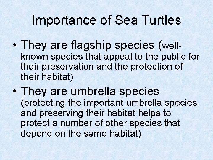 Sea turtles of the UAE Status and Conservation