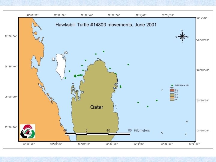 Sea turtles of the UAE Status and Conservation
