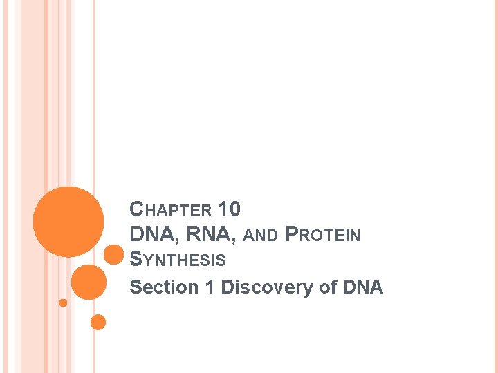 CHAPTER 10 DNA RNA AND PROTEIN SYNTHESIS Section