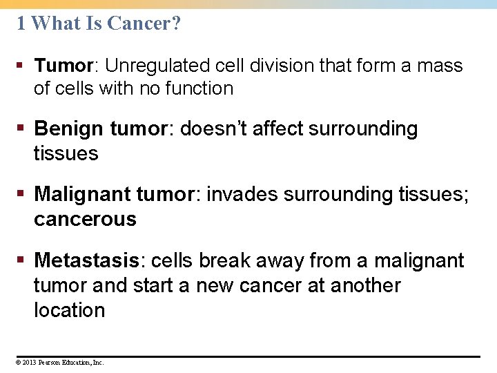 Chapter 4 Cancer DNA Synthesis Mitosis and Meiosis