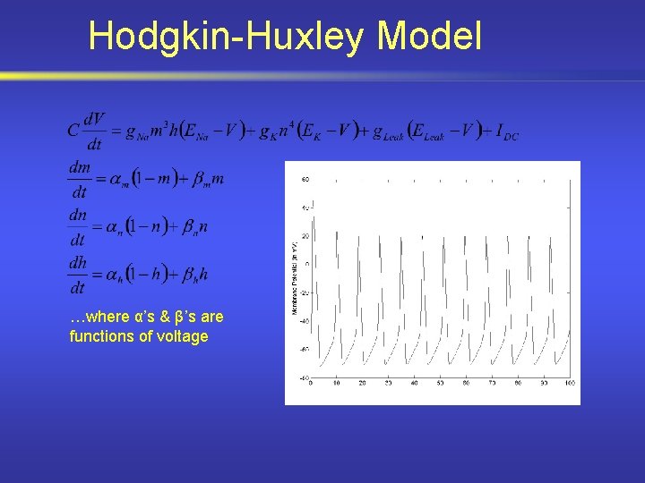 Building a VLSI Neuron Brad Aimone Stephen Larson