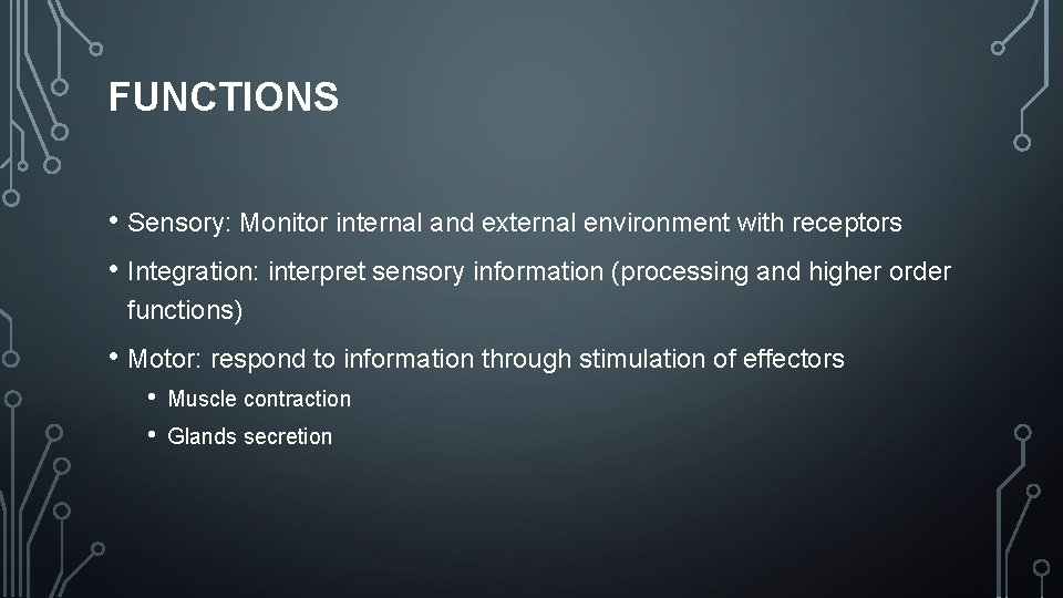 NERVOUS SYSTEM ANATOMY PHYSIOLOGY PARTS OF THE BRAIN