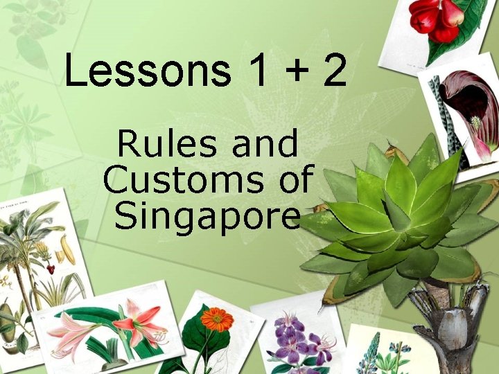 Lessons 1 2 Rules and Customs of Singapore